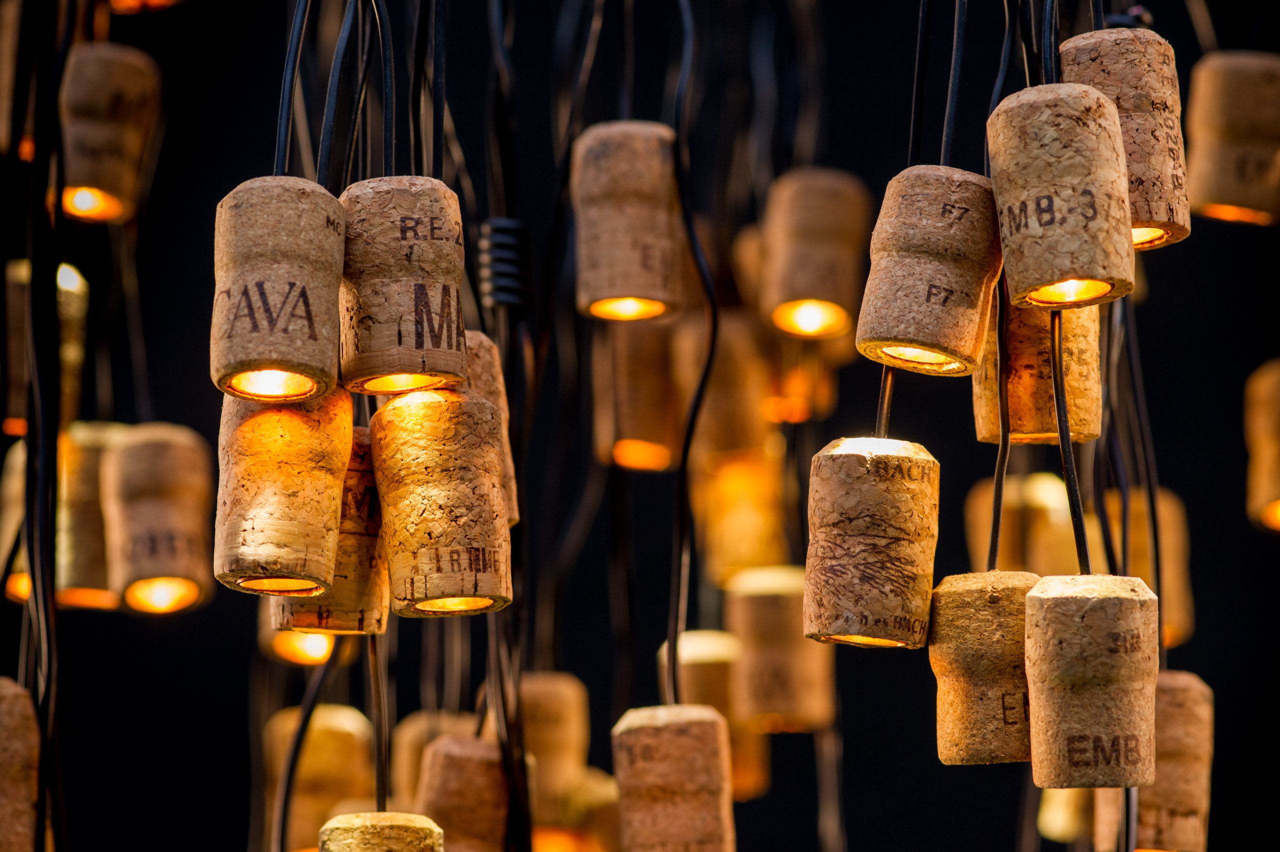 ELS TAPS DE SURO A 3CAT.CAT: ON S'HAN DE PORTAR I QUÈ SE'N POT FER? - Blipvert Recologics